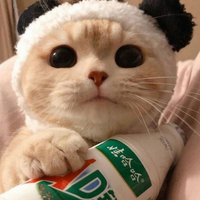 Cat PFP 64 - Free Download for Discord & TikTok | Cool PFP